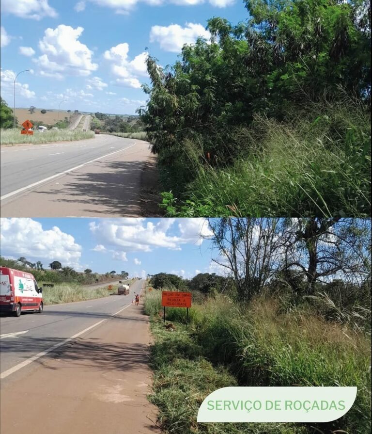 Rota Verde completa 60 dias à frente das Br’s-060 e 452